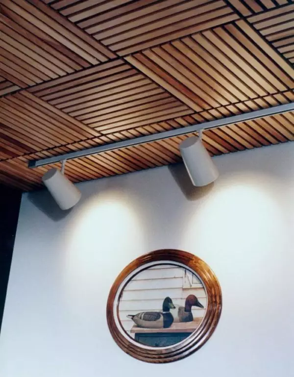 Modern drop ceiling ideas: breathe a new life into your ceiling - Hackrea