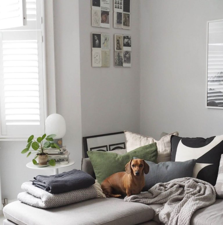 Toasty Gray (Behr N320-2): what color is, review, and use - Hackrea