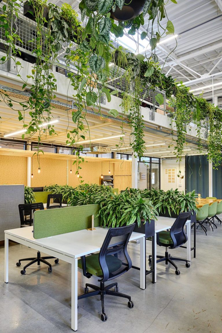 Office Trends 2023: New Concepts, Popular Styles, and Irresistible ...