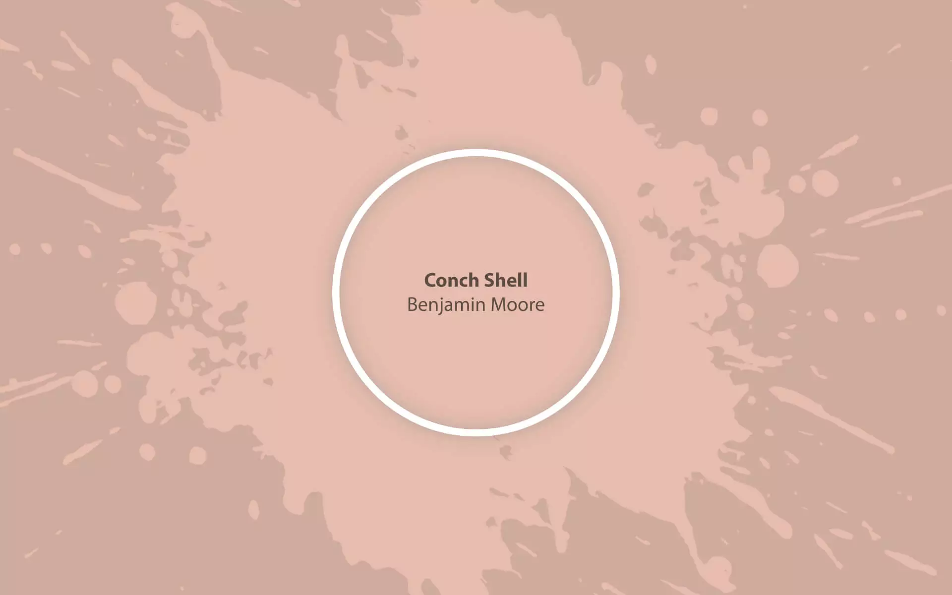 Conch Shell 052 (Benjamin Moore): What Color Is, Review, and Use - Hackrea