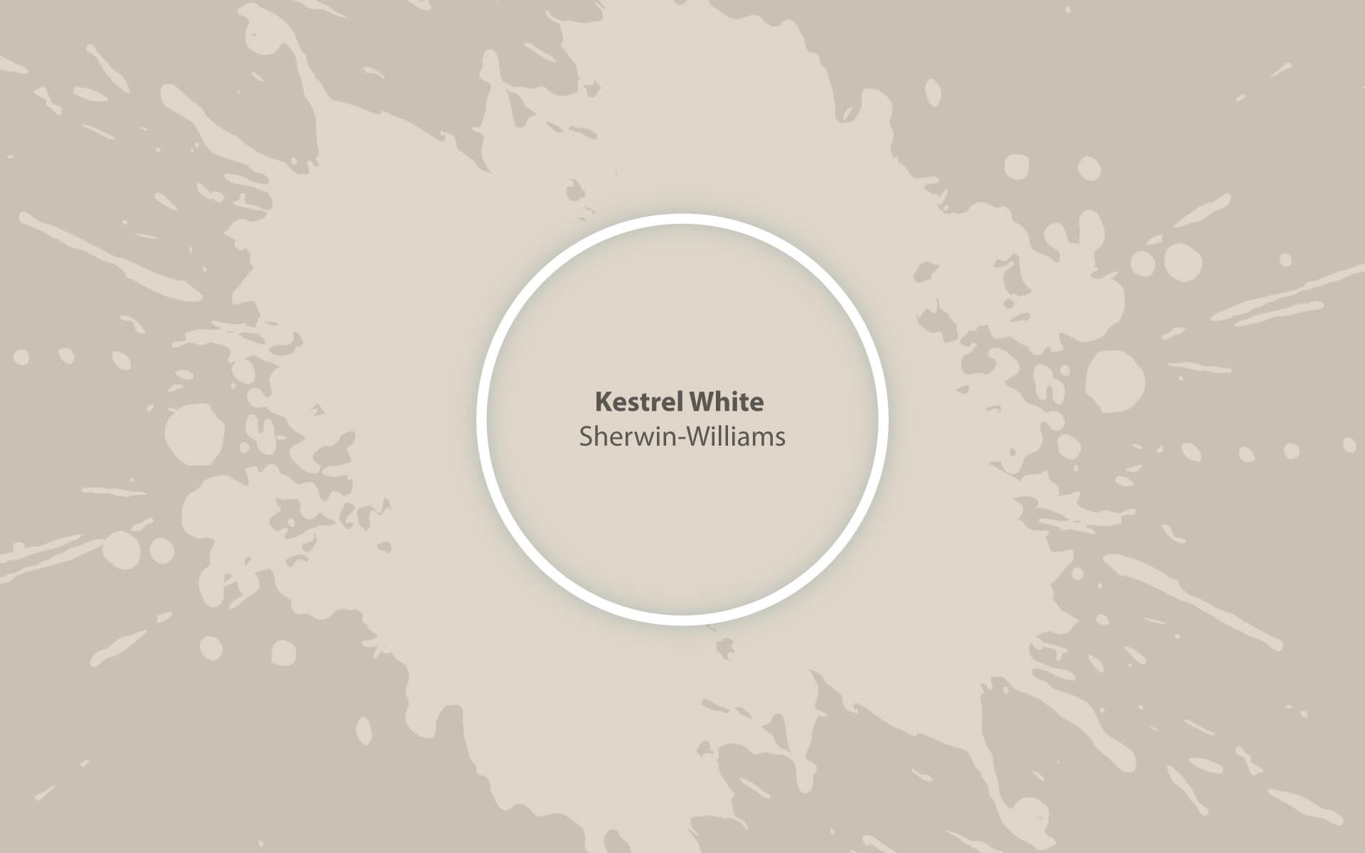 Kestrel White (SW 7516): What Color Is, Review, and Use - Hackrea