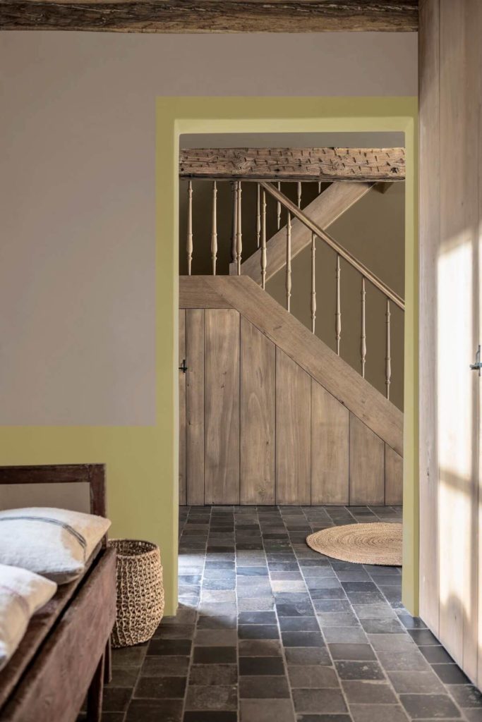 Wild Wonder (Dulux): What Color Is, Review, and Use - Hackrea