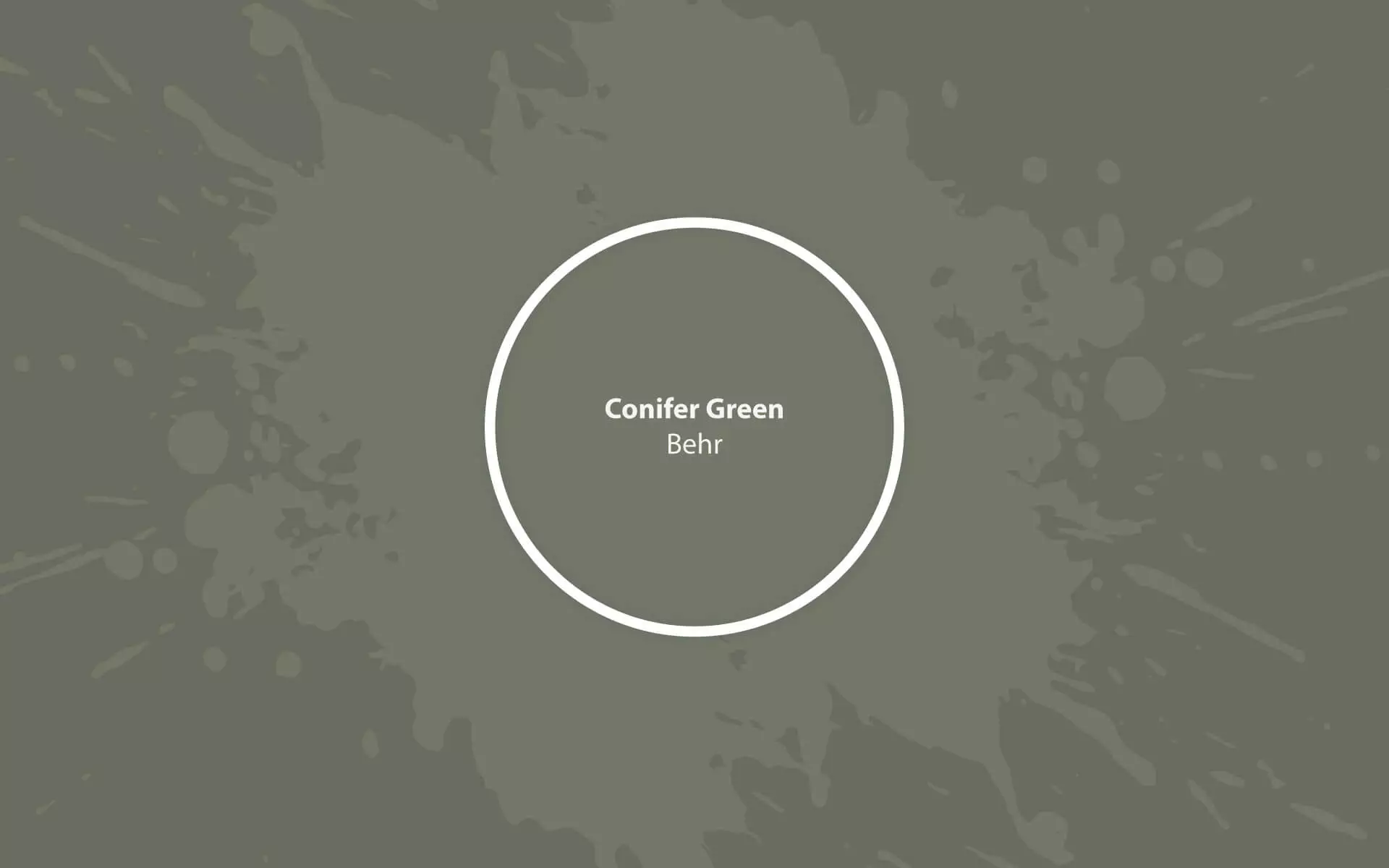 Conifer Green (Behr PPU10-19): What Color Is, Review, and Use - Hackrea
