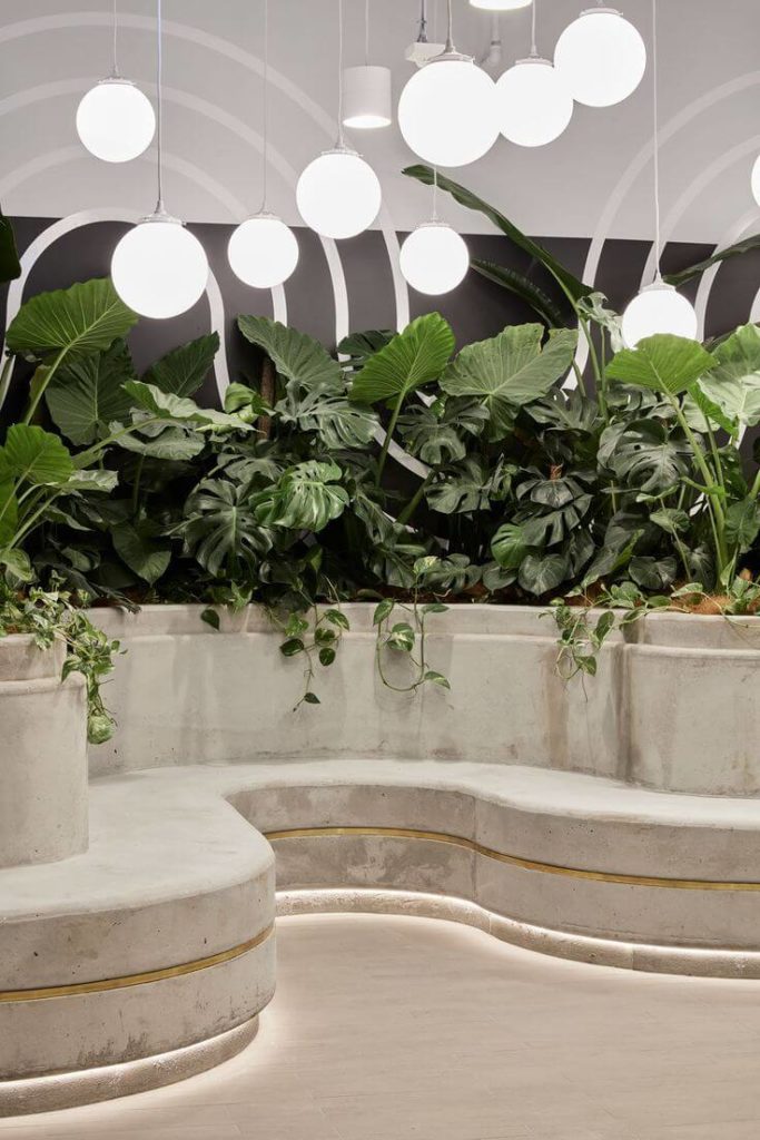 Office Design Trends for 2025: Futureproof Your Workspace - Hackrea