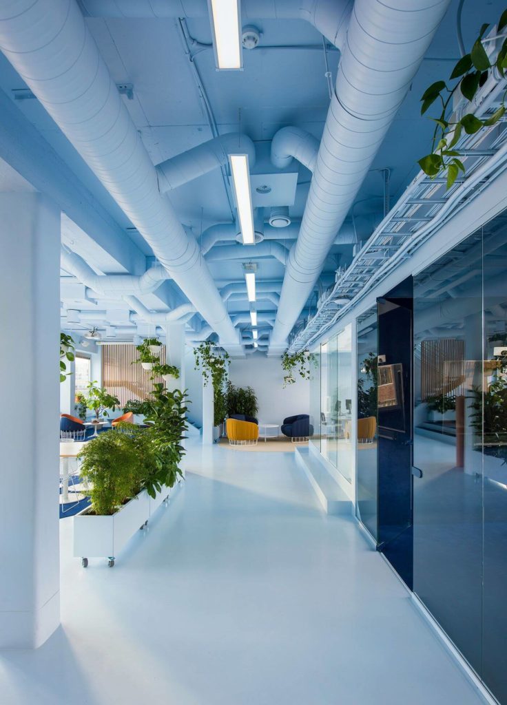 Office Design Trends for 2025: Futureproof Your Workspace - Hackrea
