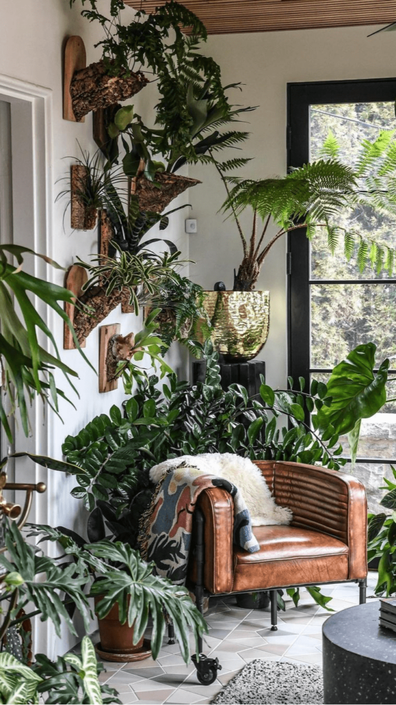 Jungle Interior Design: What It Is, Features, and Ideas - Hackrea