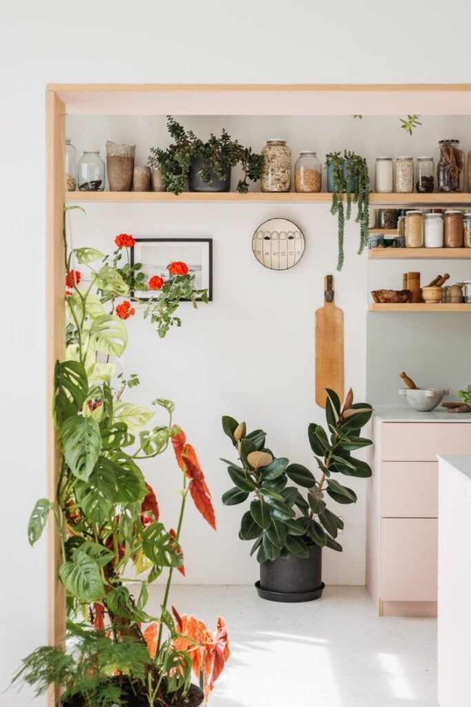 Jungle Interior Design: What It Is, Features, and Ideas - Hackrea